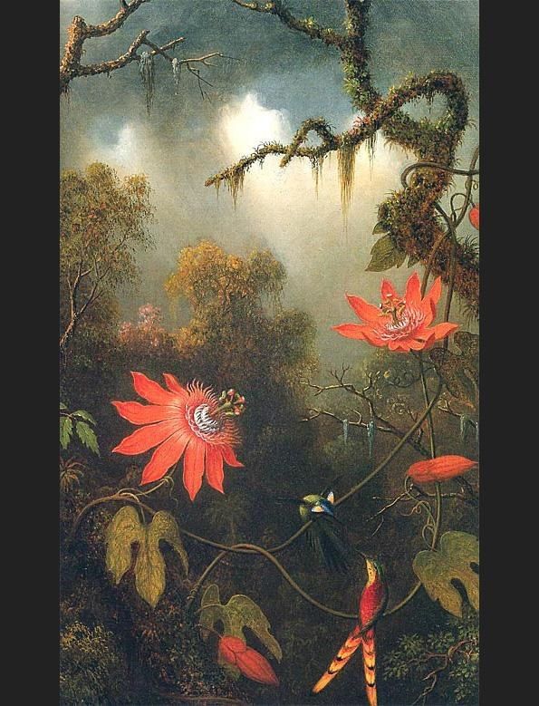 Martin Johnson Heade Two Hummingbirds Perched on Passion Flower Vines ...